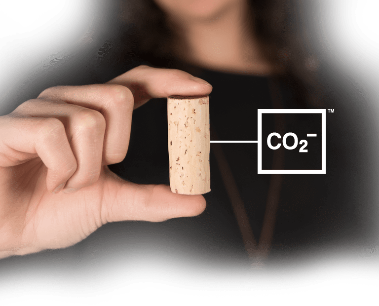 Our Sustainable Materials: Recycled Cork | SOLE